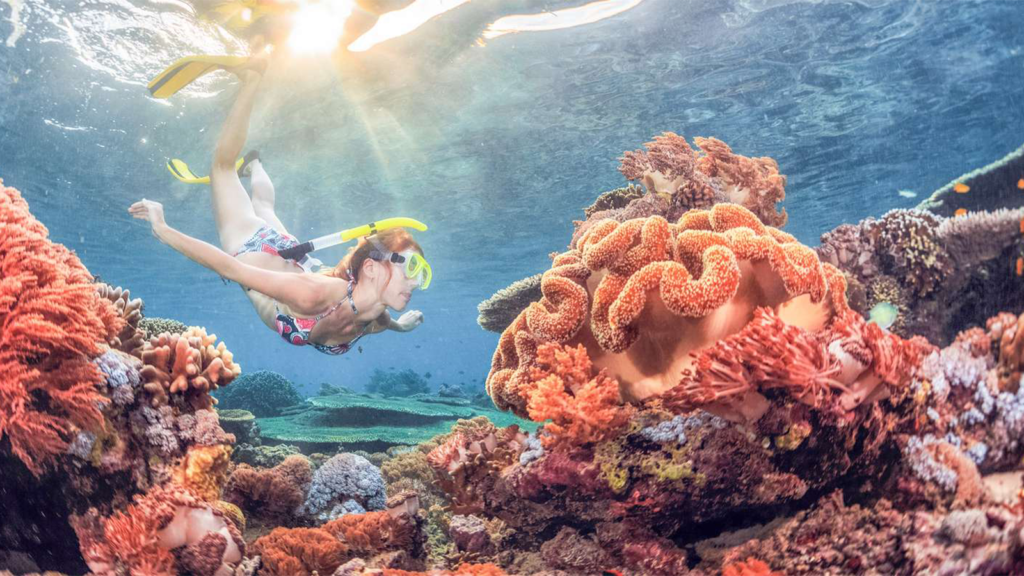 Blue Lagoon Beach Snorkeling with Lunch - Bali for Travelers